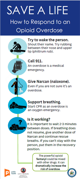 Signs of an Over Dose Rack Card - Digital Download – Maine Prevention Store
